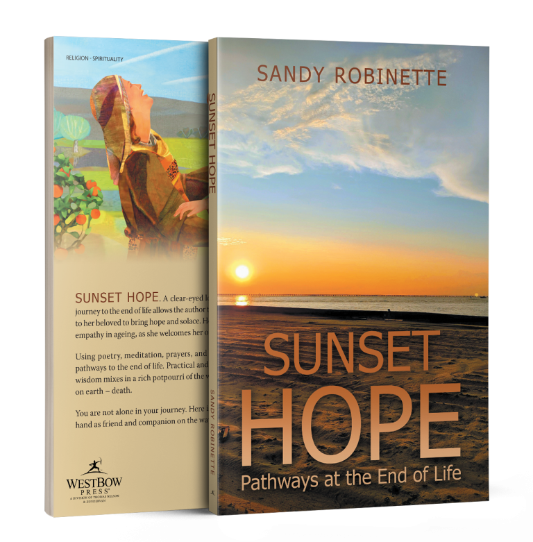 BUY THE BOOK - Sandy Robinette